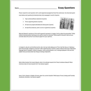 The Prince and the Pauper by Mark Twain: Study Guide & Assessments ...