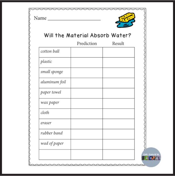 Absorbing Water Activities Will Beans Seeds Absorb Water Grow Sponges ...