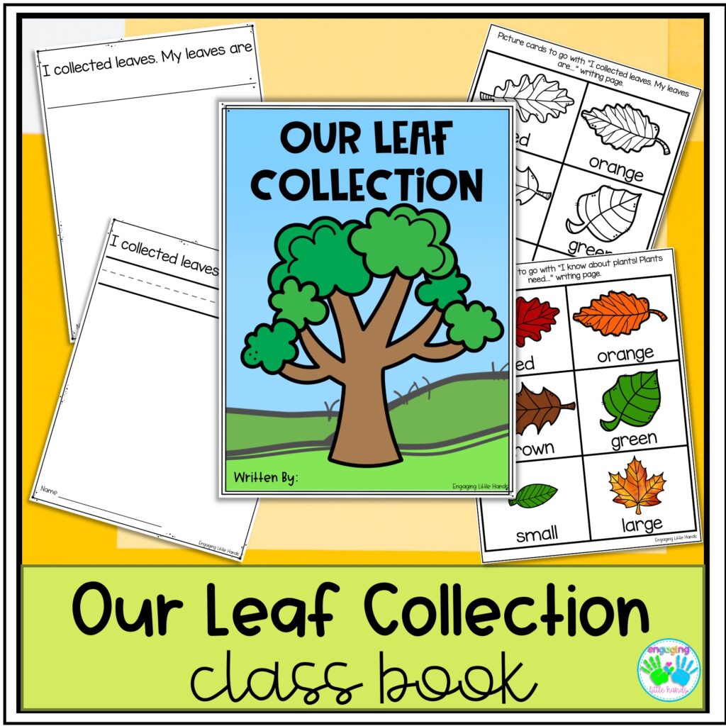 Spring Plants Class Book | Made By Teachers