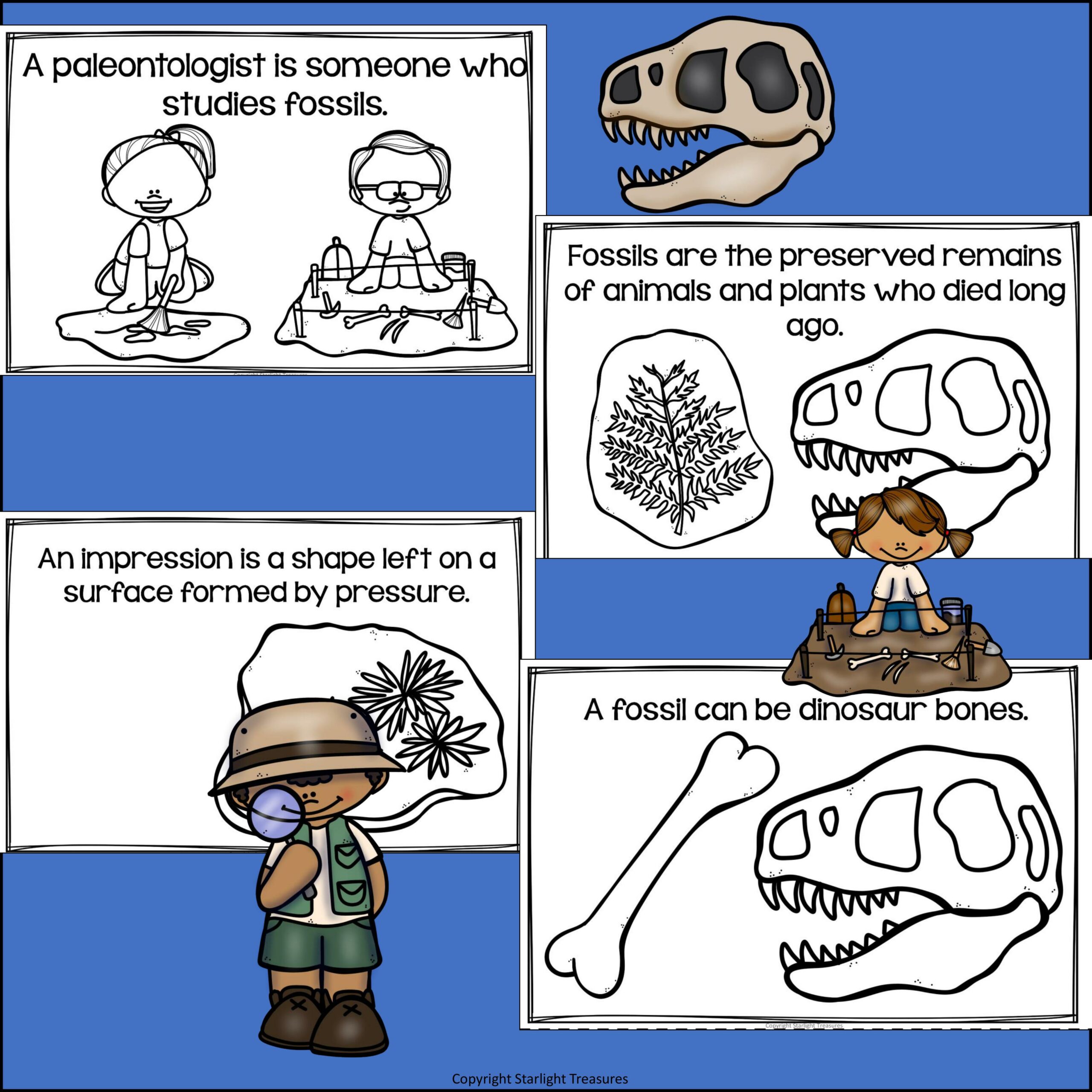 Fossils Mini Book for Early Readers | Made By Teachers