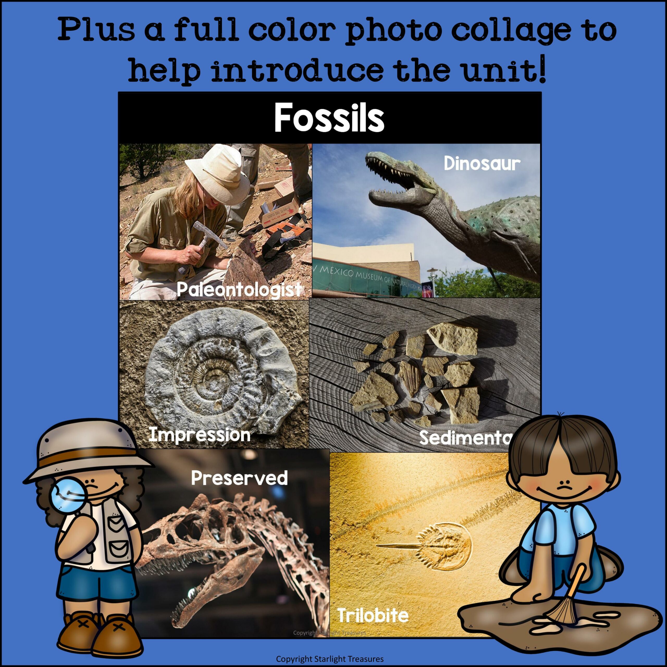 Fossils Mini Book for Early Readers | Made By Teachers