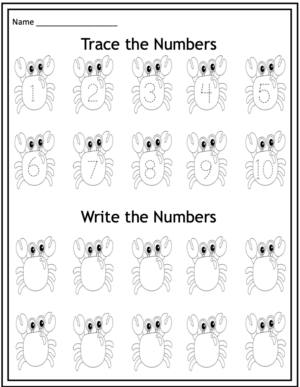 Trace, Write, Count, Recognize numbers to 20 | Made By Teachers