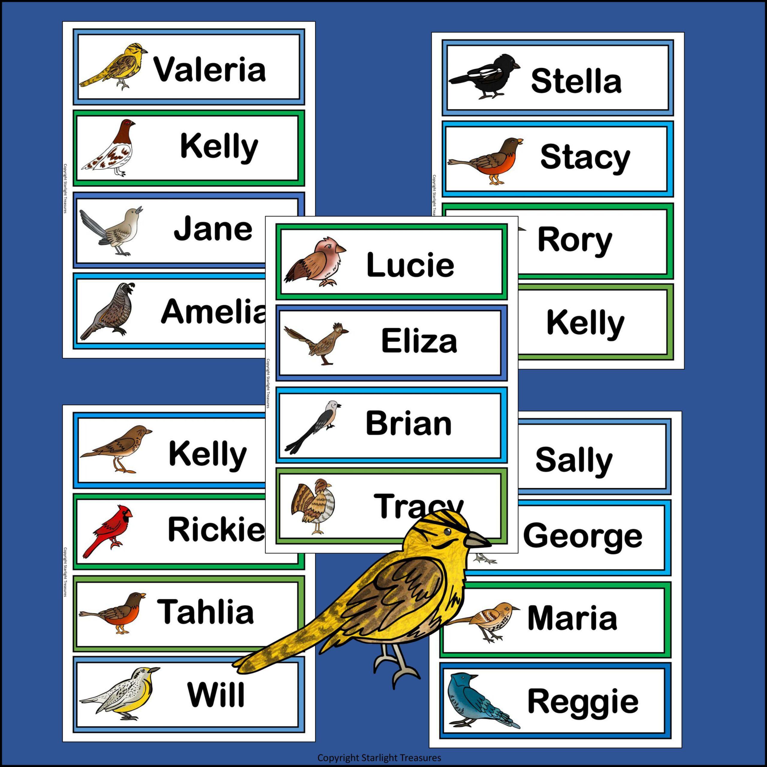 Birds Desk Name Tags - Editable Name Tags | Made By Teachers