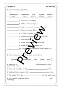 Kate DiCamillo "Leroy Ninker Saddles Up" worksheets | Made By Teachers