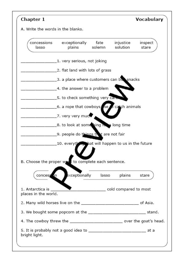 Kate DiCamillo "Leroy Ninker Saddles Up" worksheets | Made By Teachers