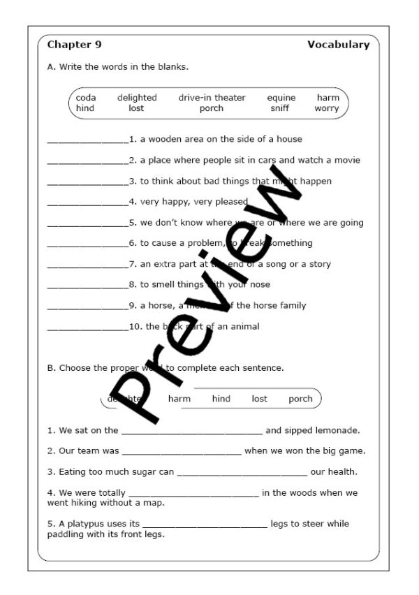 Kate DiCamillo "Leroy Ninker Saddles Up" worksheets | Made By Teachers