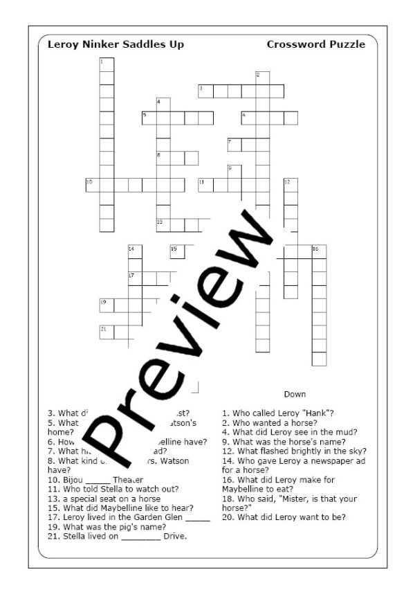 Kate DiCamillo "Leroy Ninker Saddles Up" worksheets | Made By Teachers