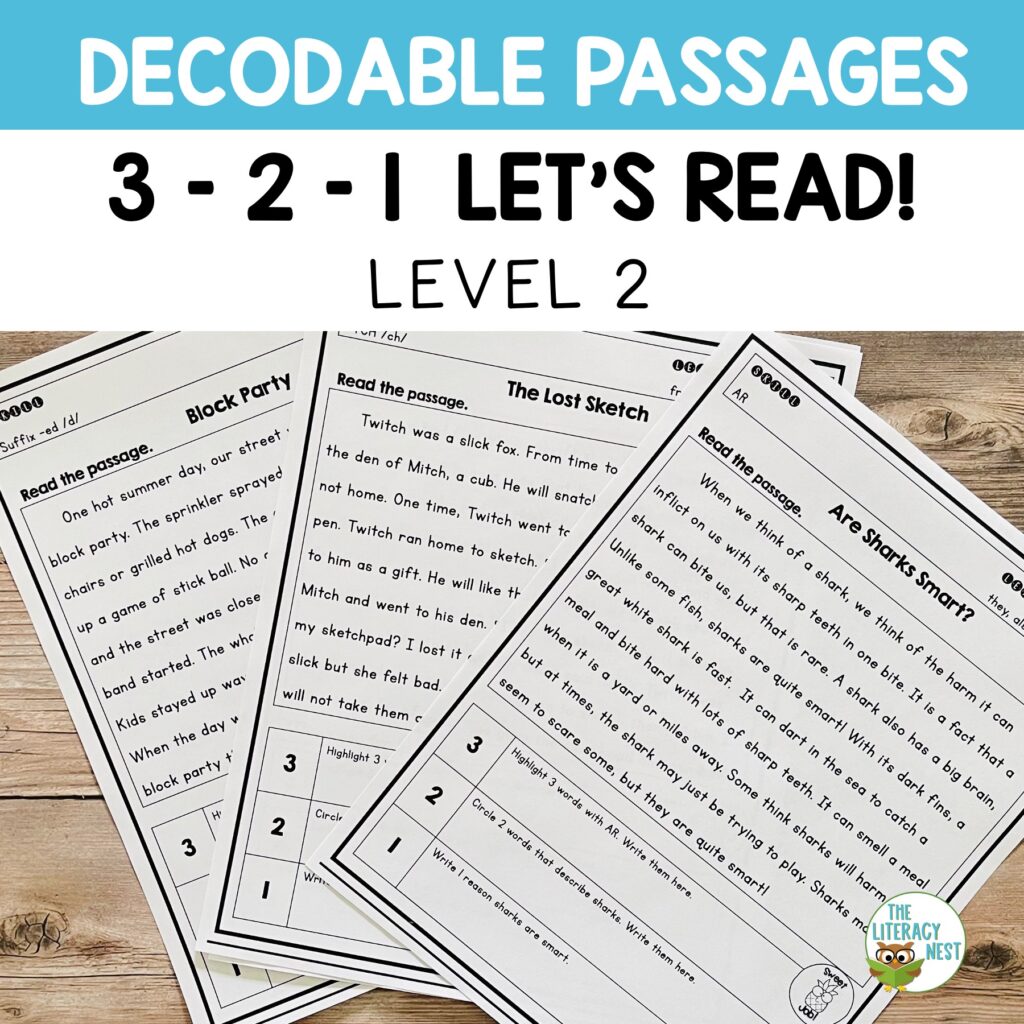 Orton-Gillingham Decodable Passages Level 2 | Made By Teachers