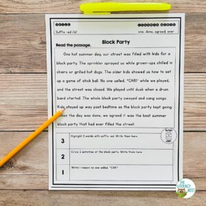 Orton-Gillingham Decodable Passages Level 2 | Made By Teachers