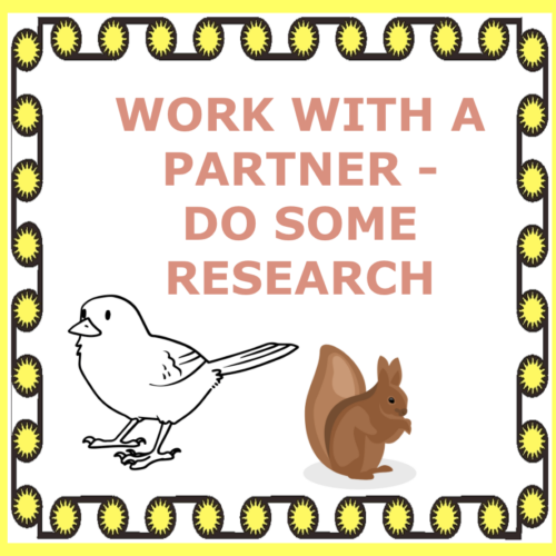 THOSE DARN SQUIRRELS BY ADAM RUBIN READING LESSONS WITH SCIENCE ...