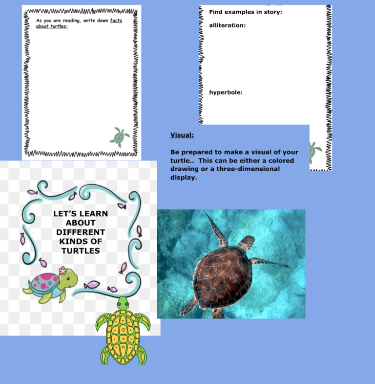 ONE TINY TURTLE by Nicola Davies: READING LESSONS & EXTENSION ...