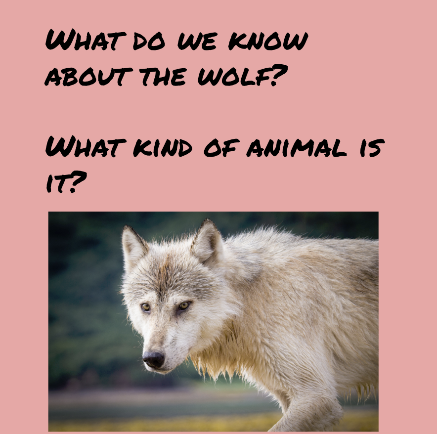 BIG BAD WOLF IS GOOD: READING LESSONS WITH EXTENSION ACTIVITIES | Made ...