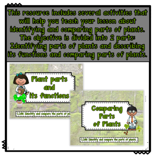 Comparing Parts of Plants in Google Slides™ | Made By Teachers