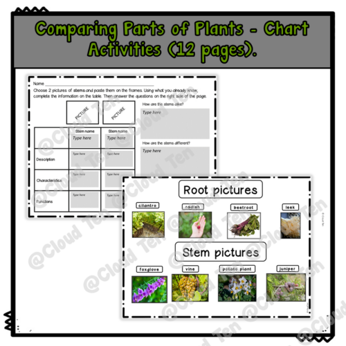 Comparing Parts of Plants in Google Slides™ | Made By Teachers