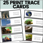 Spring & Earth Day Vocabulary Cards, Traceable Print Cards, & Mini Book ...