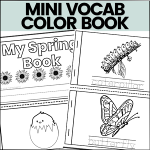 Spring & Earth Day Vocabulary Cards, Traceable Print Cards, & Mini Book ...