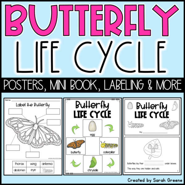 Life Cycle of a Butterfly | Made By Teachers