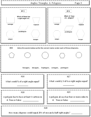 Angles Triangles Polygons Worksheets PLUS Word Search Puzzle (2 Items ...