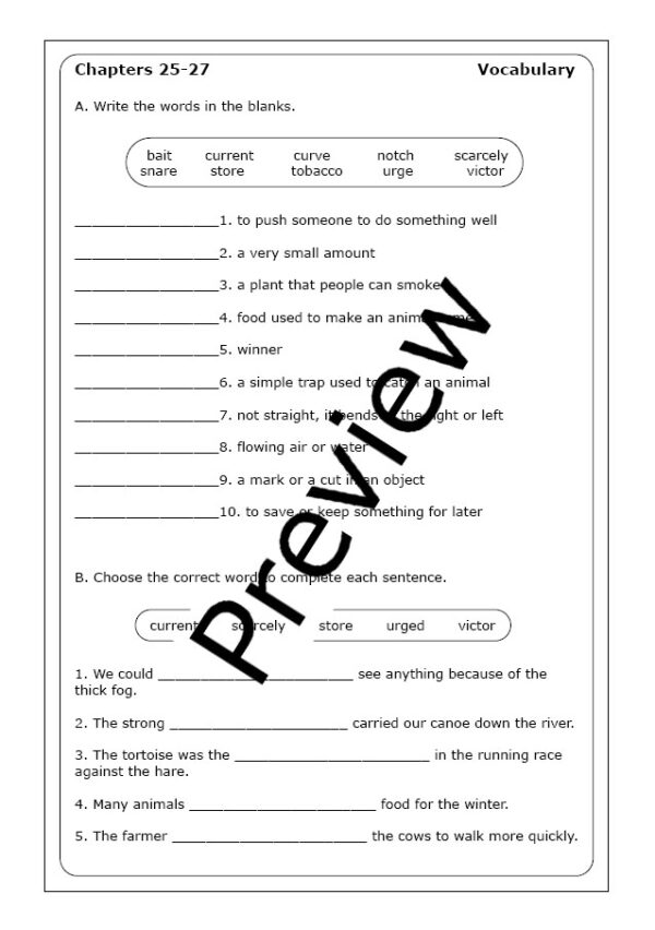 Scott O'Dell "Island of the Blue Dolphins" worksheets - Made By Teachers