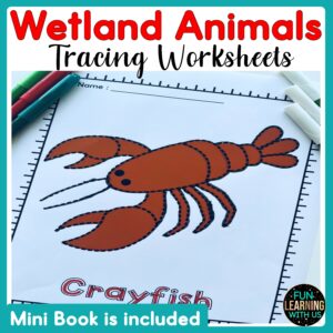 Farm Animals Picture Tracing & Coloring Fine Motor Worksheets | Made By ...