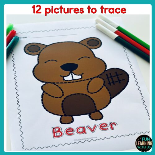 Wetland Animals Picture Tracing & Coloring Fine Motor Worksheets | Made ...