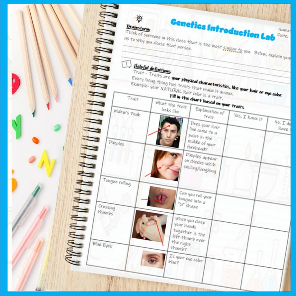 Genetics and Heredity Introduction Activity | Made By Teachers