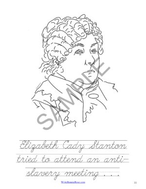 Women's Suffrage & the Nineteenth Amendment Coloring Book-Level C ...