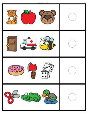 Mystery CVC Words | Made By Teachers