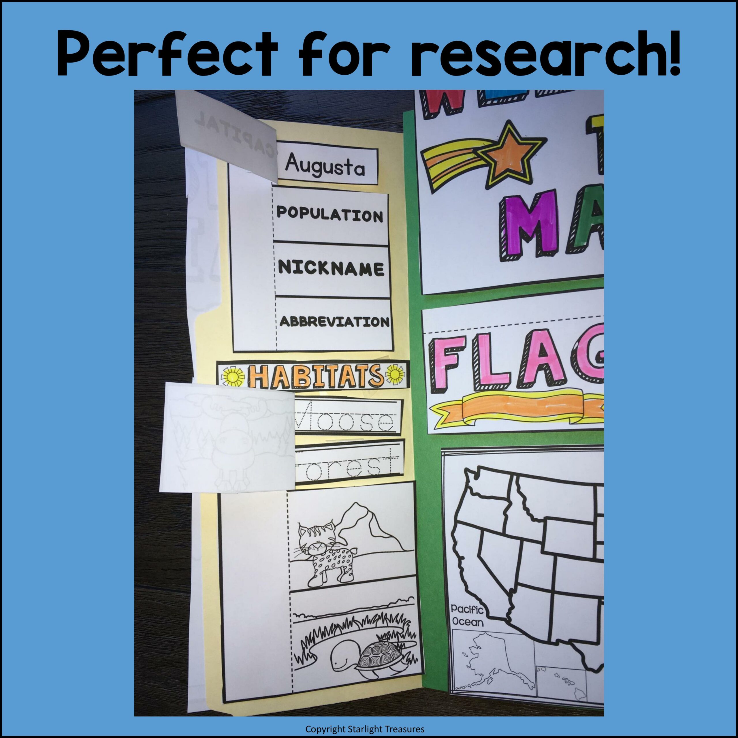 Maine Lapbook for Early Learners - A State Study | Made By Teachers