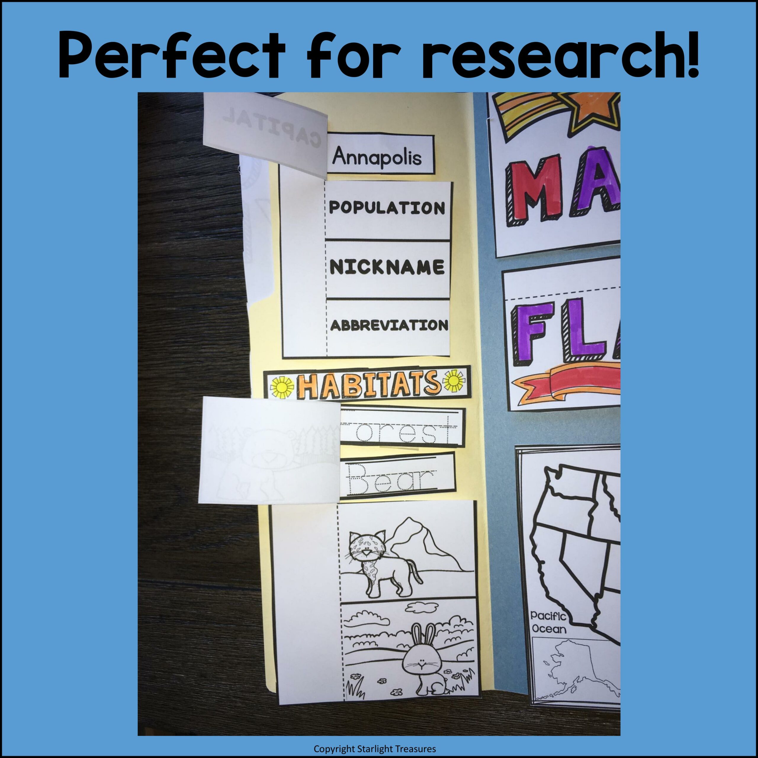 Maryland Lapbook for Early Learners - A State Study | Made By Teachers