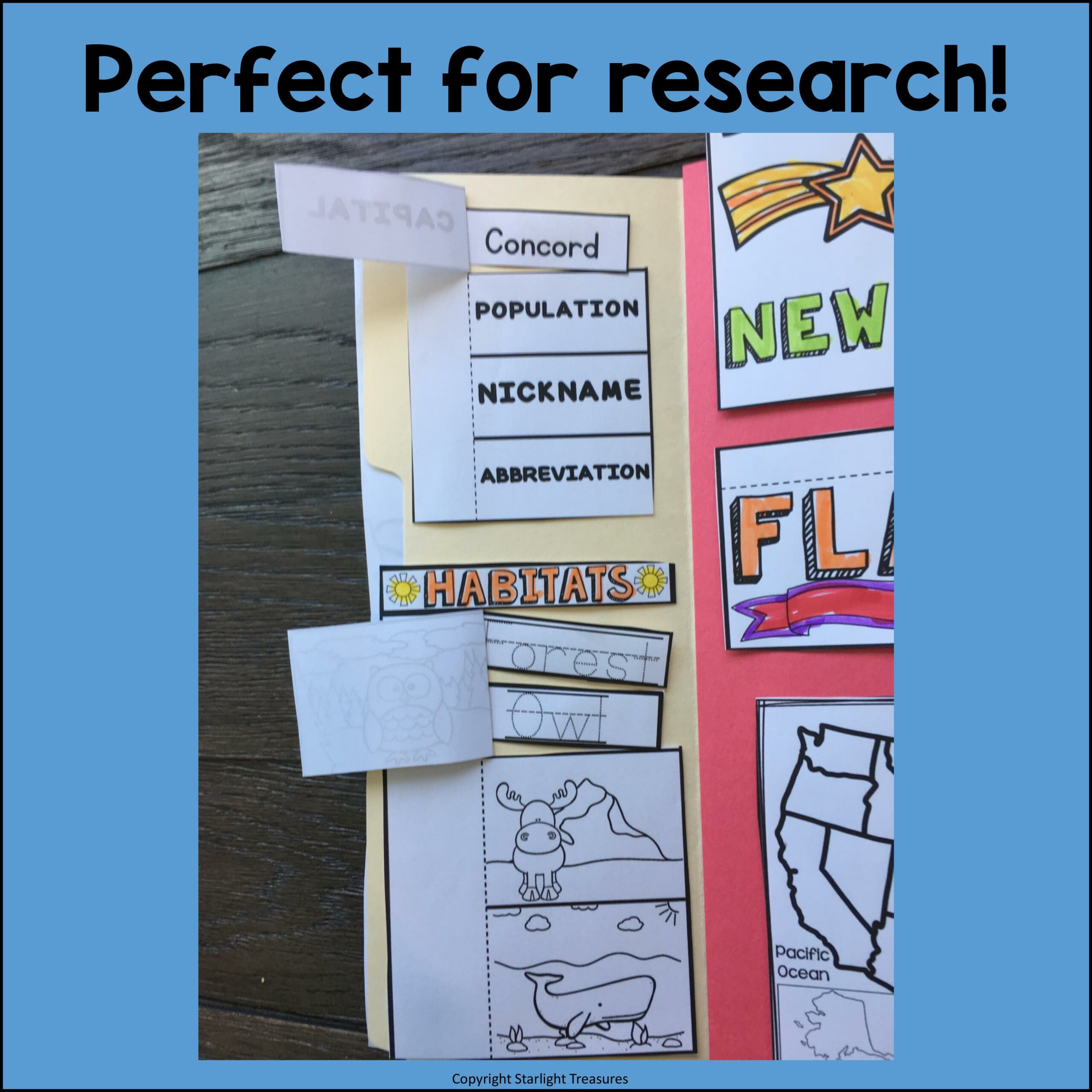 New Hampshire Lapbook for Early Learners - A State Study | Made By Teachers