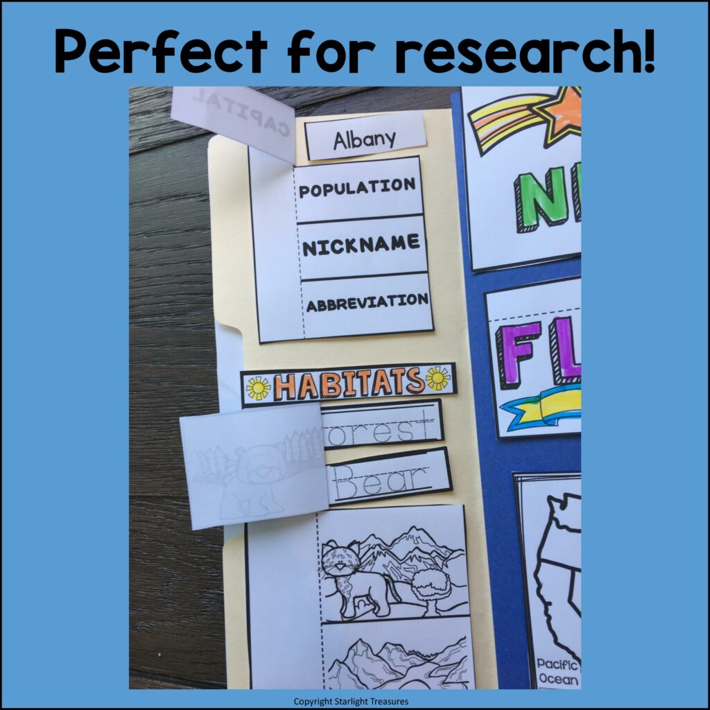 New York Lapbook for Early Learners - A State Study | Made By Teachers