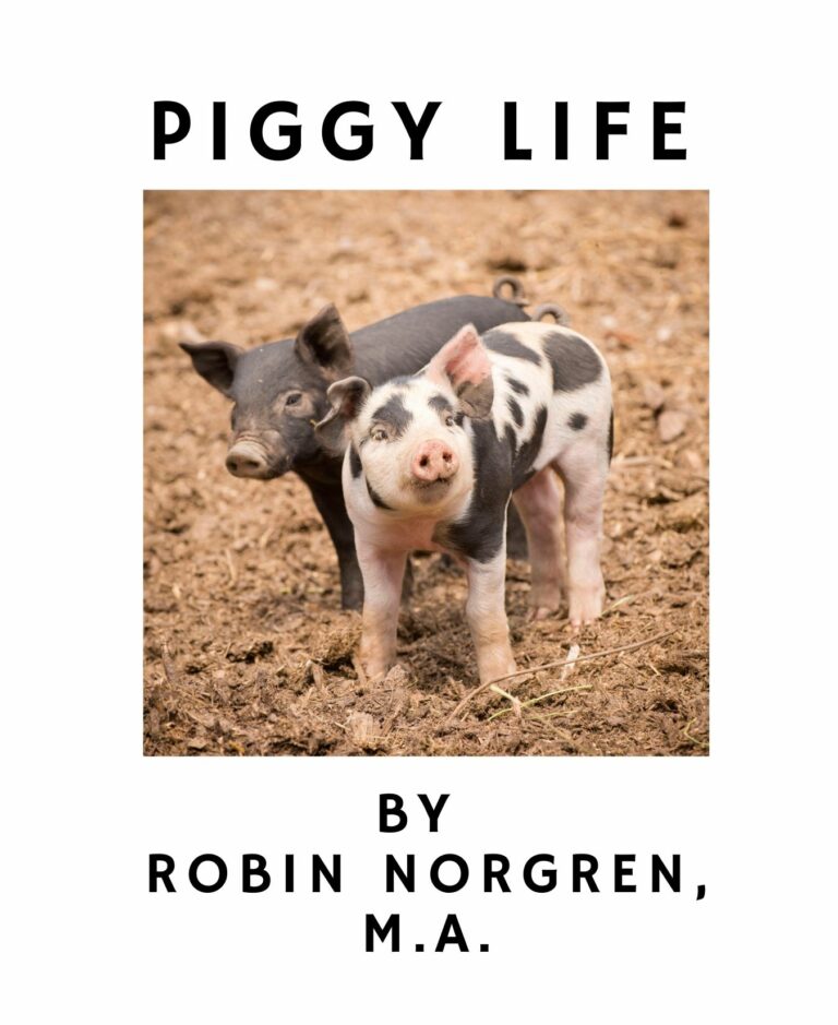 Kindergarten Early Reader Fry Words Pigs Montessori Book Character ...