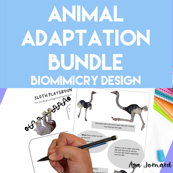 Animal Adaptation Bundle | PBL STEAM Biomimicry Design Compatible with ...
