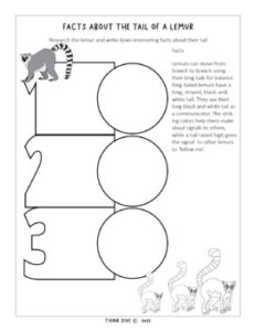 Animal Adaptation Bundle | PBL STEAM Biomimicry Design Compatible with ...