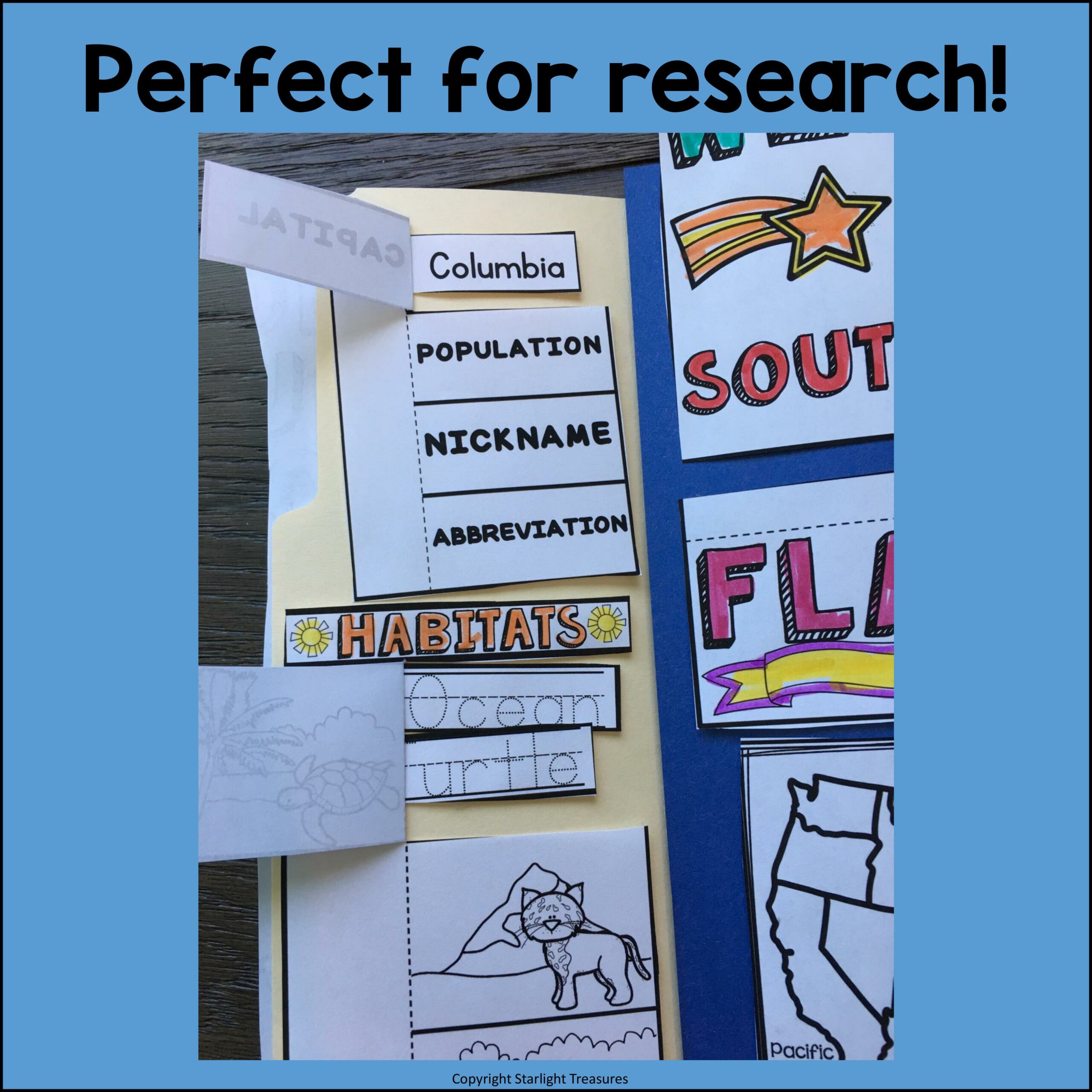 South Carolina Lapbook for Early Learners - A State Study | Made By ...