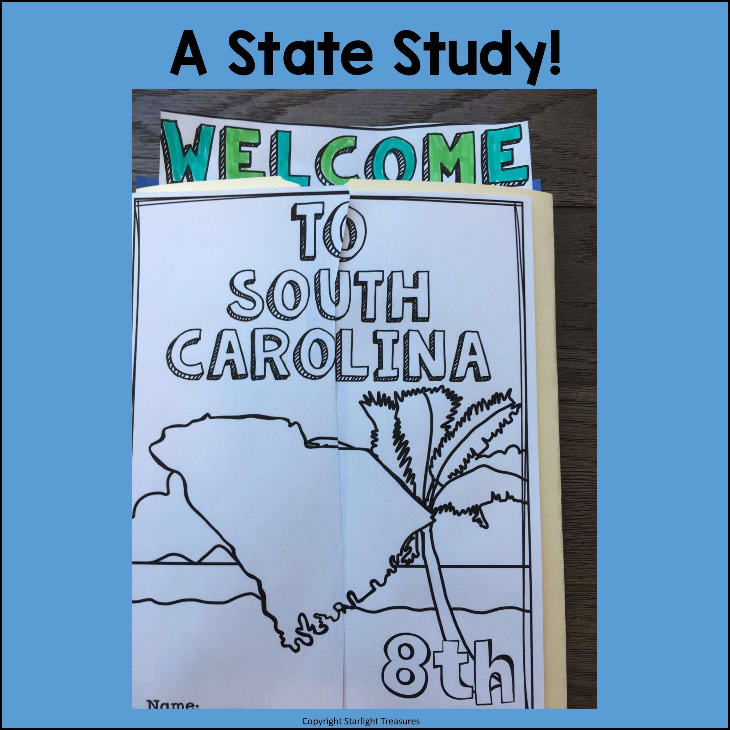 South Carolina Lapbook for Early Learners - A State Study | Made By ...