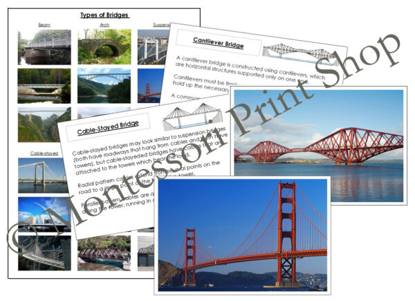 Types of Bridges - Information, Photographs & Control Chart | Made By ...