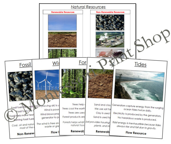 Natural Resources Information, Sorting Cards & Control Chart | Made By ...