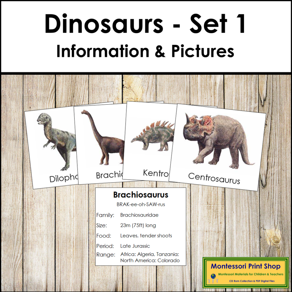 Dinosaur Cards - Information Cards & Picture Cards (Set 1) | Made By ...