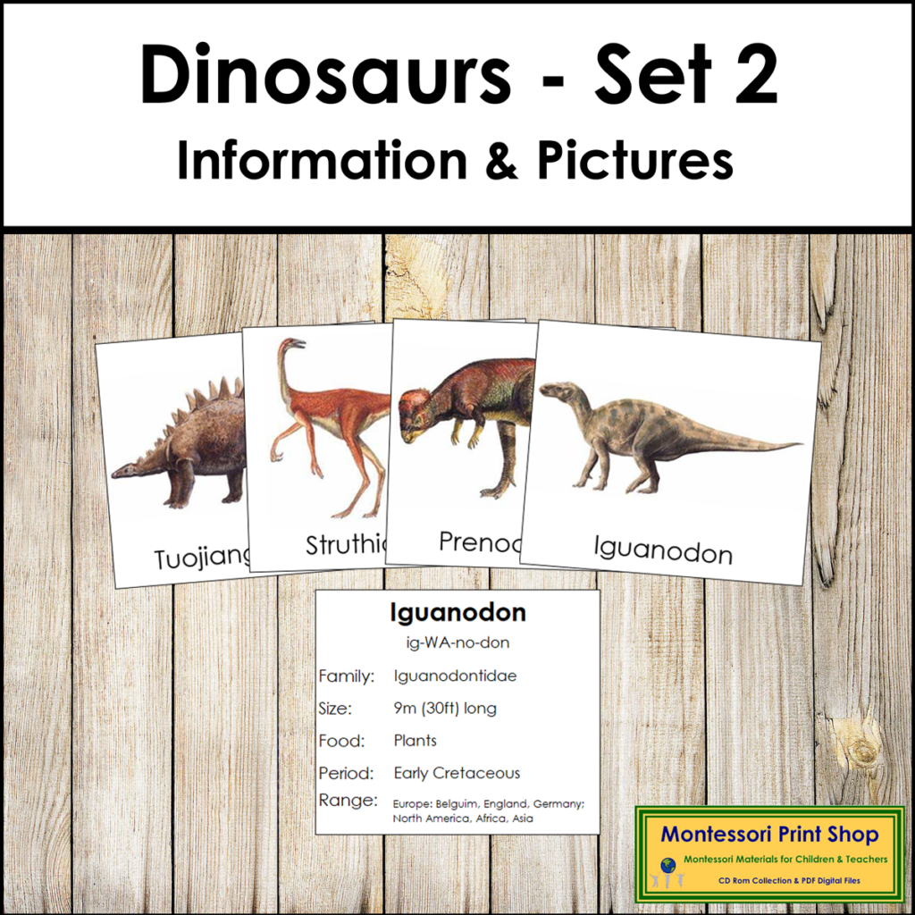 Dinosaur Cards - Information Cards & Picture Cards (Set 2) | Made By ...