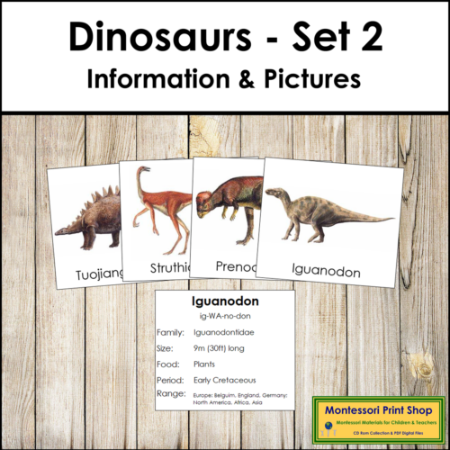 Dinosaur Cards - Information Cards & Picture Cards (Set 2) | Made By ...
