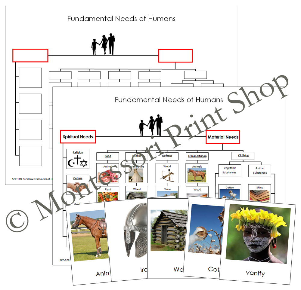 Fundamental Needs of Humans - Montessori Social Studies | Made By Teachers
