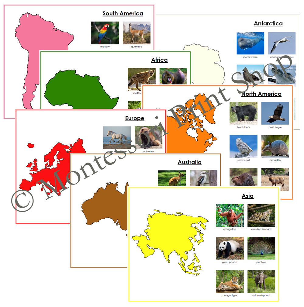 Animals of the Continents Set #2 - Sorting Cards, Maps & Control Cards (color) | Made By Teachers