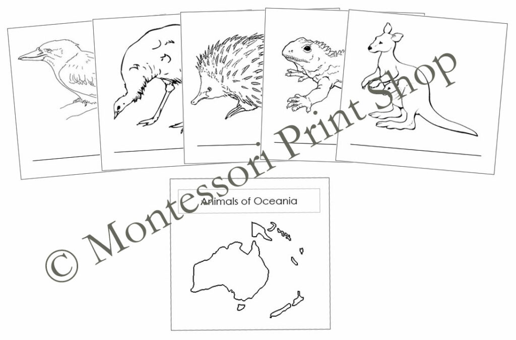 Animals of the Continents Booklets - Blackline Masters | Made By Teachers