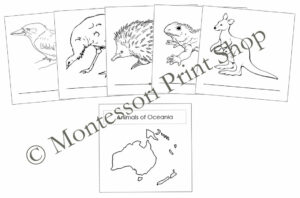 Animals of the Continents Booklets - Blackline Masters | Made By Teachers