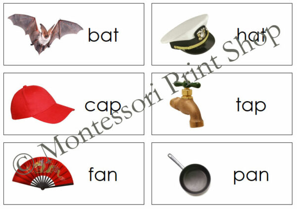 Phonetic Rhyming Words & Pictures (Level 1) - Phonics | Made By Teachers