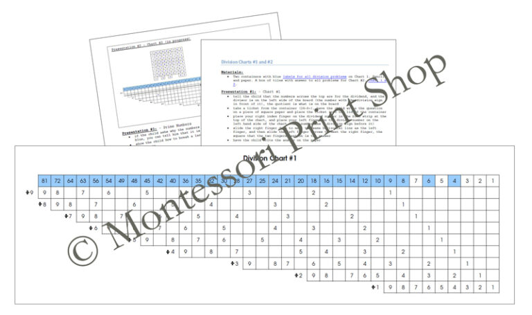 Montessori Division Charts & Instructions | Made By Teachers