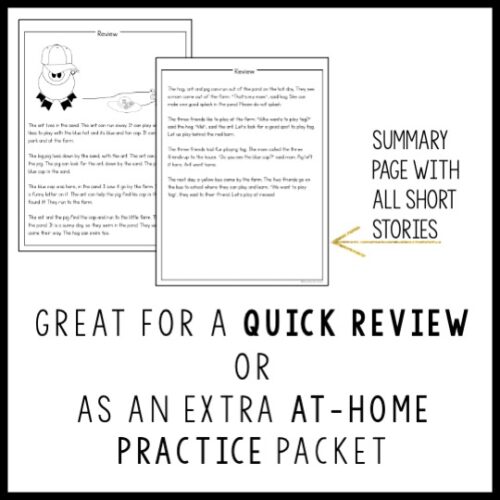 Pre-Primer Condensed Sight Word Weekly Practice | School, Home ...