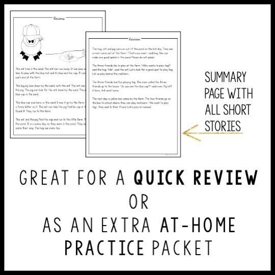 Pre-Primer Condensed Sight Word Weekly Practice | School, Home ...